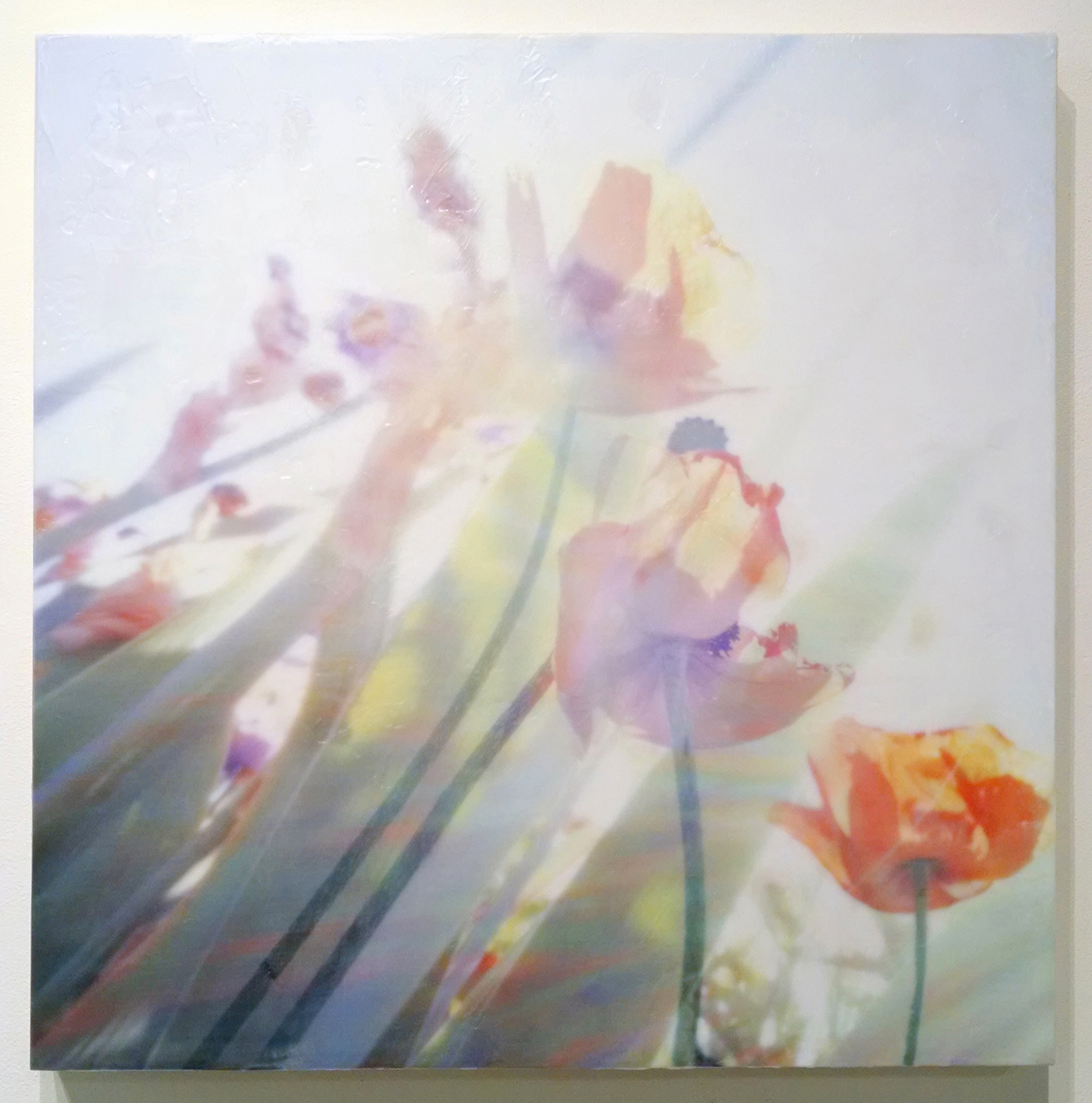Tara McDermott - Columbia City Gallery