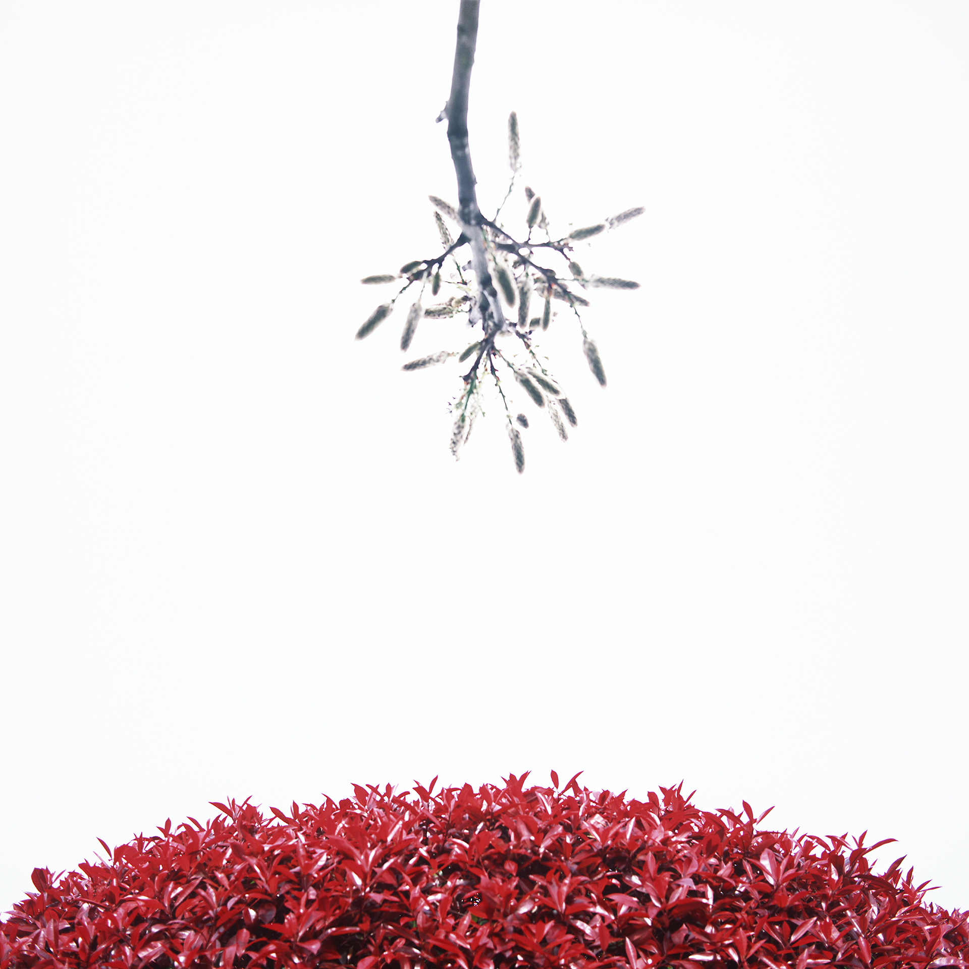 Tara McDermott - Columbia City Gallery