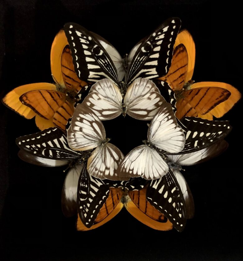Elizabeth Putnam - Columbia City Gallery