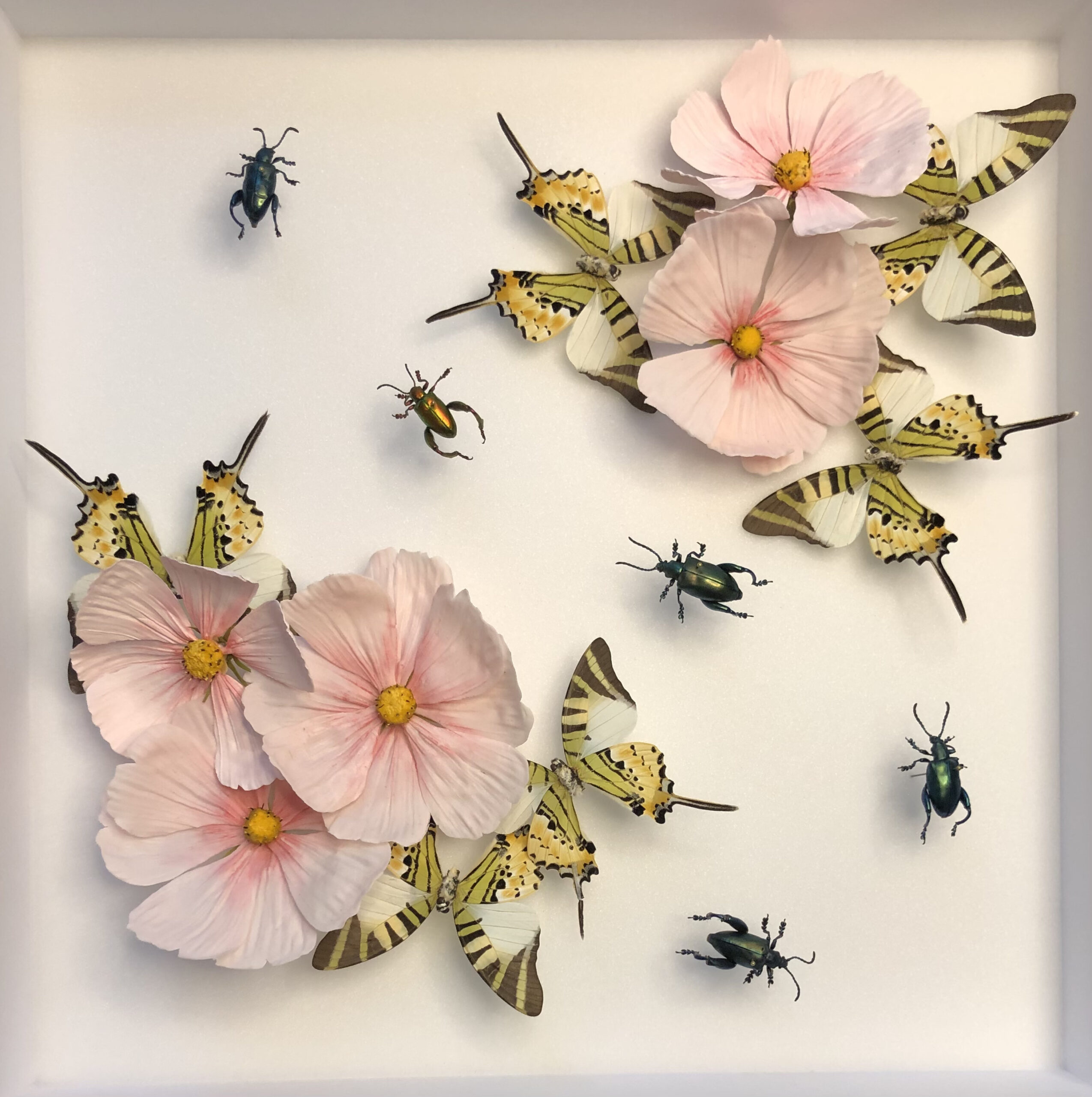 Elizabeth Putnam - Columbia City Gallery