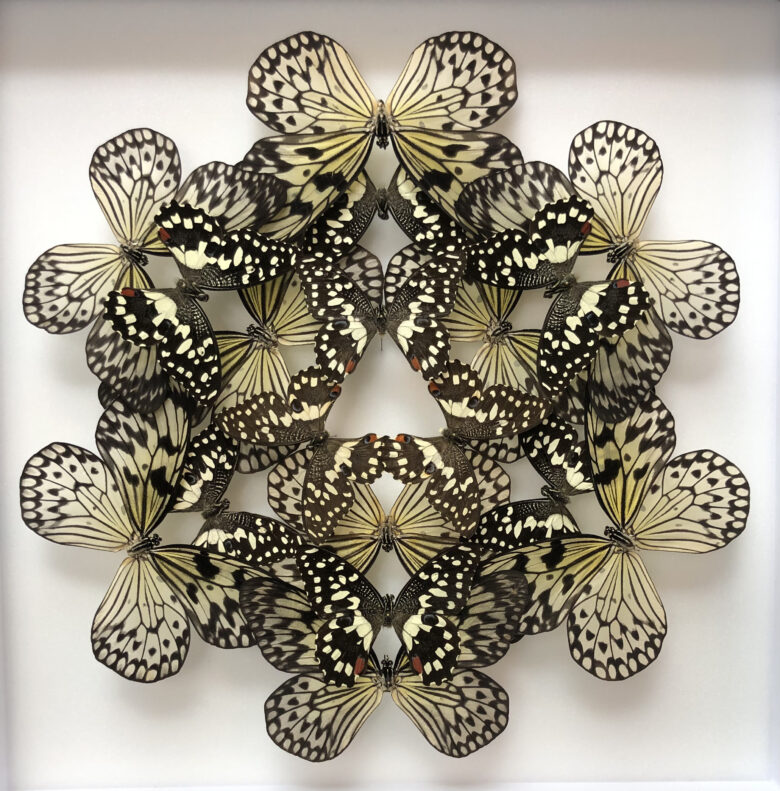 Elizabeth Putnam - Columbia City Gallery